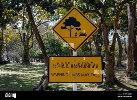 A Street Sign Warning Falling Tree Limbs Chiang Mai Thailand Stock