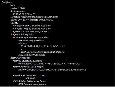 Upgrading Golang Version In The Early June ‘23 Automate Release Chef