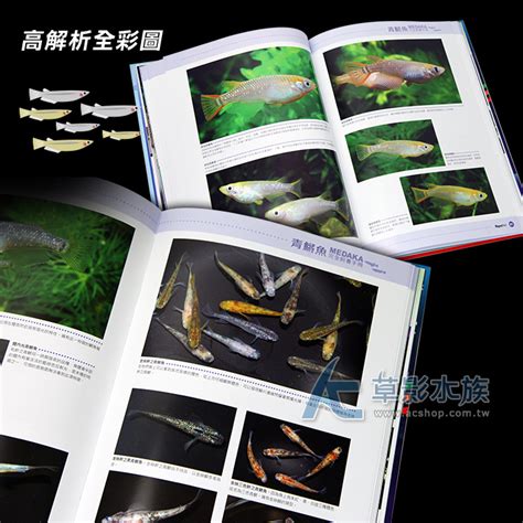 AC草影水族 Mobile