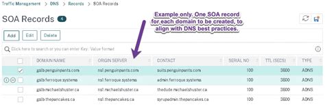 Howto Configure Network Solutions Dns For Gslb On Citrix Adc Netscaler
