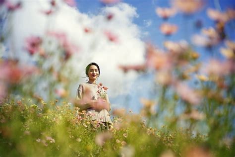 コスモス畑が見ごろです。昼は一面鮮やかに彩るお花畑。夕方には夕陽に透ける幻想的な空間に様変わりします。特別な秋の思い出づくりができる神戸布引