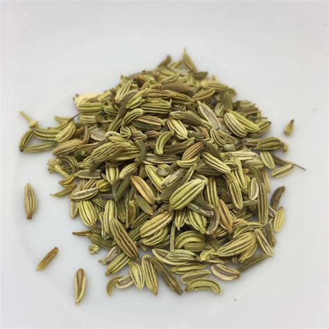 Fennel (Seeds) | Pack It In Zero Waste Living Worcester