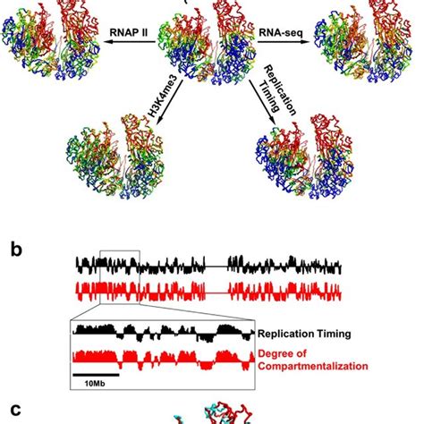 Spatial Segregation Of Genome Features A Mapping Of Genome Features