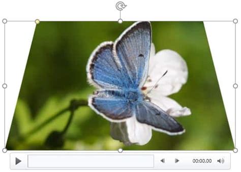 Video In PowerPoint Basics Video Shapes In PowerPoint Presentations Glossary