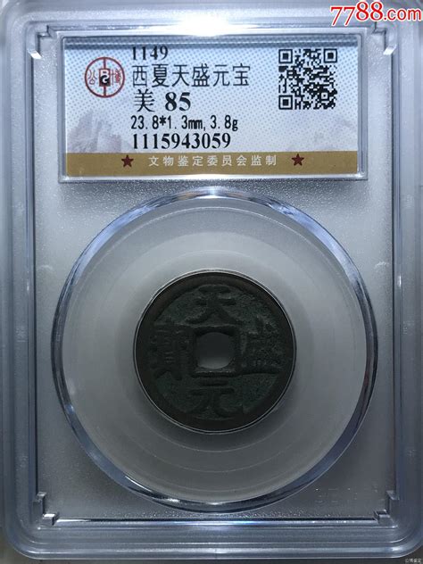 西夏天盛元宝 货币古币 梧桐钱币世家7788收藏 收藏热线