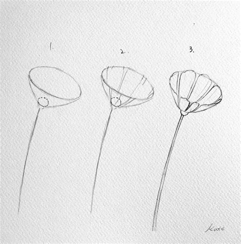 How To Draw Flowers Flower Drawing Flower Art Drawing Drawings