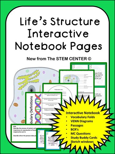 Life Science Interactive Notebook Bundle Teaching Resources
