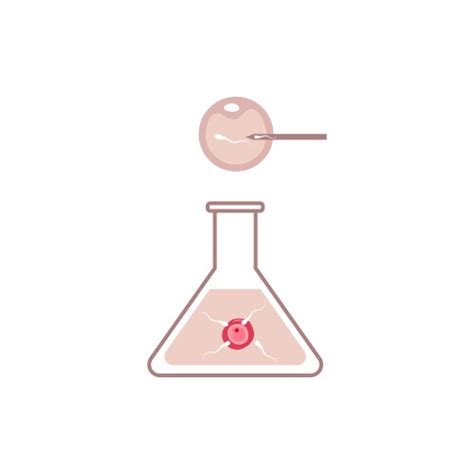 Step In Vitro Fertilization Laboratory Royalty Free Vector