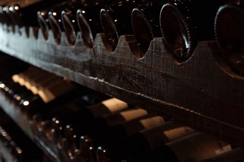 Comment choisir le vin parfait pour accompagner un plat de pâtes