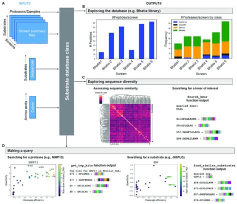 PAA Provides An Infrastructure For Queryable Databases Of Enzyme