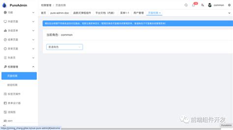vue pure admin：企业级中后台管理的技术革新 csdn博客