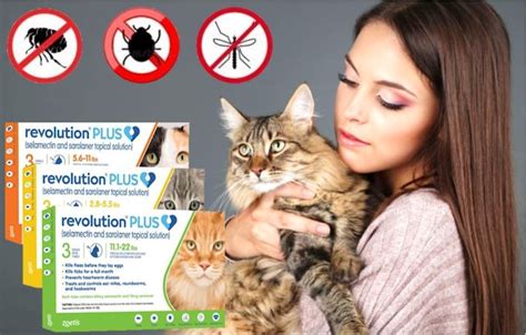 Cat Revolution Plus Anti Tick Flea Preventive Treatment Ear Mites