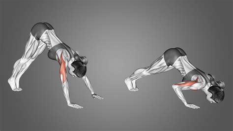 Pike Push Ups Benefits Muscles Worked And More Inspire Us Pike Pushup Push Up Handstand