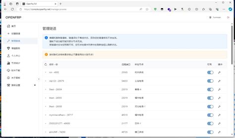 softwares openfrp 开放映射免费、高效、便捷 欢迎使用全新 openfrp next updates