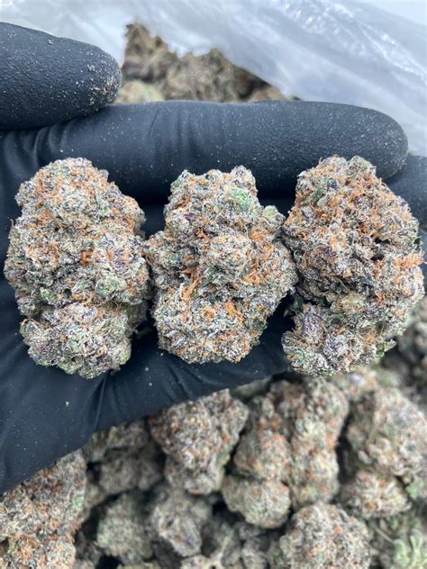 Blue Walker Strain For Sale Online Puff La Official