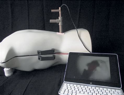 Completed Simulator Assembly In Use Download Scientific Diagram