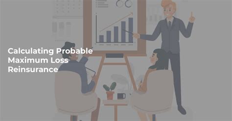 Calculating Probable Maximum Loss Reinsurance