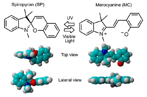 Scheme 1 Basic Equilibrium Between The Spiropyran And Merocyanine Download Scientific Diagram