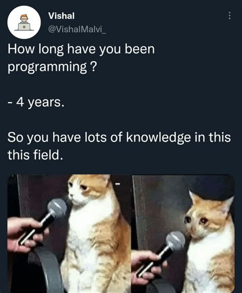 threeyearsofprogrammingandidontknowathing r programmerhumor
