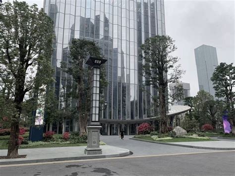 金枫新闻｜金枫设计与世界500强—索迪斯集团合作，携手打造广州星河湾中心美食广场 公司新闻 武汉金枫荣誉室内环境设计有限公司