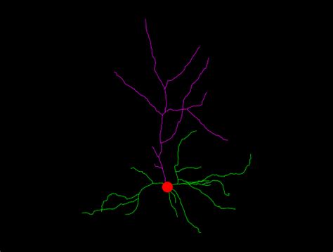 Detailed Cell Information R28pfcs2c3
