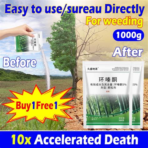 Hexazinone Herbicide Strongest Tree And Bamboo Killer Effective Weed
