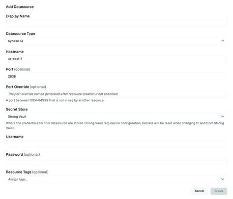 Sybase Iq Strongdm Docs