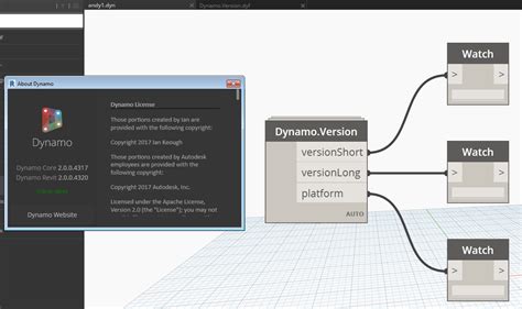 Dyn Files Open In Custom Node Workspace · Issue 1952 · Dynamods
