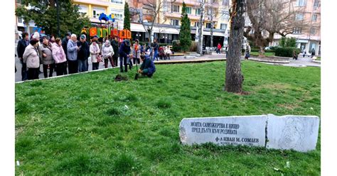 Будно Габрово Вандалска проява срещу дръвчето в памет на Иван Сомлев