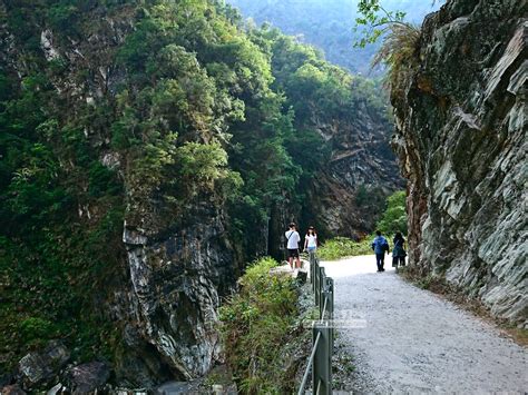 白楊步道 水濂洞 白楊吊橋 花蓮必玩景點 親子旅遊 夏天清涼水太魯閣健行散步步道 安魯魯的筆記本