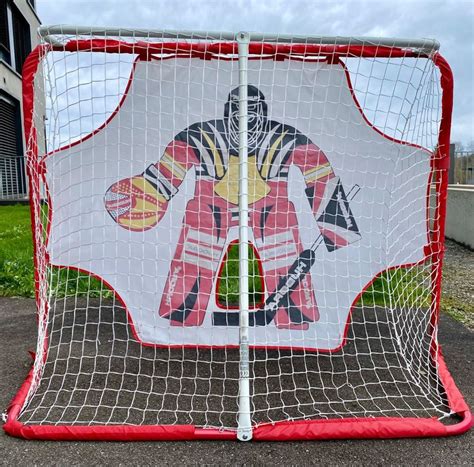 Street Hockey Set Goalie mit Torwand von Hudora Gebraucht in Cham für