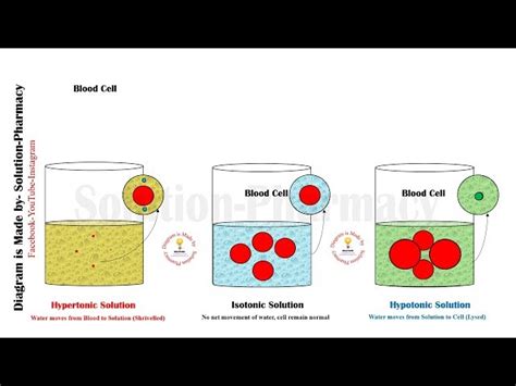 Hypertonic Diagram