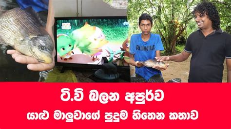 බණ අහන පිරිත් අහන අපුර්ව මාළුවා Youtube