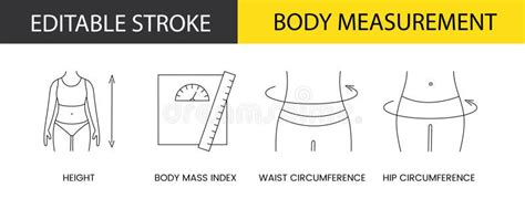 Body Measurement Line Icon Set In Vector Illustration Of Height And