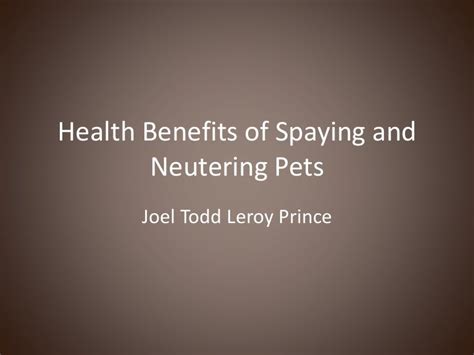 Health Benefits Of Spaying And Neutering Pets