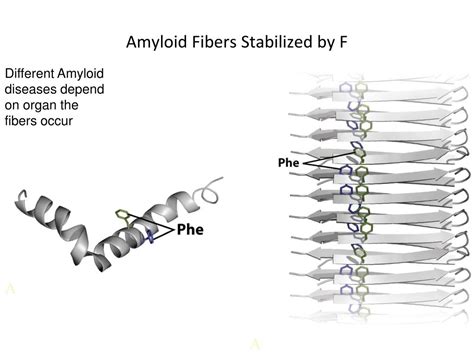 Ppt Chapter 4 Powerpoint Presentation Free Download Id 4741208