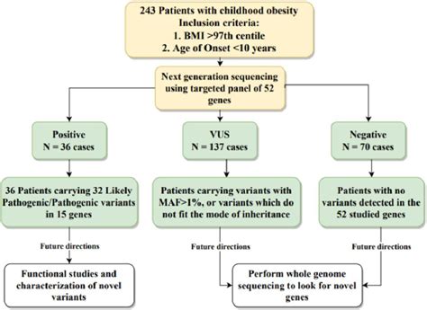 Schematic Workflow For Identification And Characterization Of Patients
