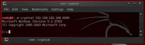 hack like a pro how to create a nearly undetectable backdoor with cryptcat null byte