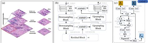 Development And Validation Of Fully Automatic Deep Learning Based