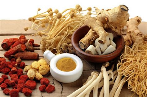 中医药的药材高清图片下载 正版图片600297481 摄图网 中医药的药材高清图片下载 正版图片600297481 摄图网