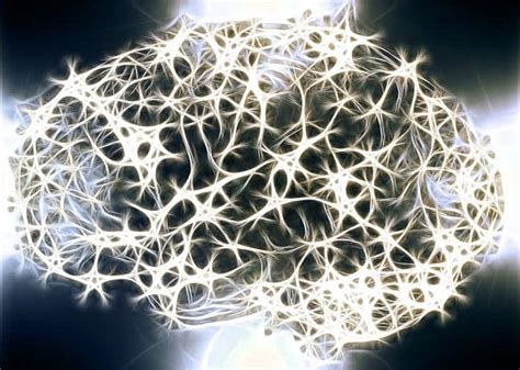 Células Del Cerebro Tipos De Celulas