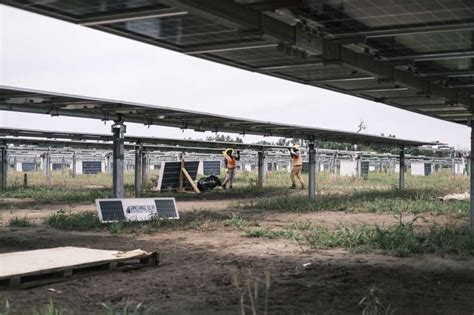 Planning Underway For Large Solar Energy Project In Linn County The
