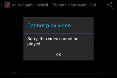 What Is HEVC Video Format And How To Fix HEVC Can T Play Issues