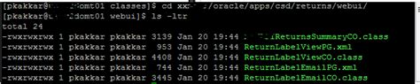 customizing oracle ebs applications