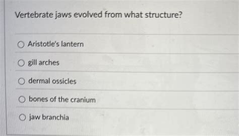Solved Vertebrate jaws evolved from what | Chegg.com