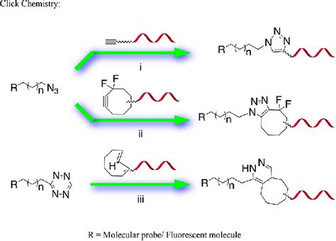 Chemical Modification Of Rna Nanoparticles By Click Chemistry Common Download Scientific
