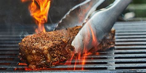 Charbon électrique ou gaz Comment bien choisir son barbecue