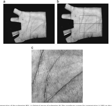 Figure 1 From Palmprint Recognition Algorithm With Horizontally