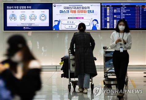 원숭이 두창 두 번째 감염자 발생 방역 비상 연합뉴스