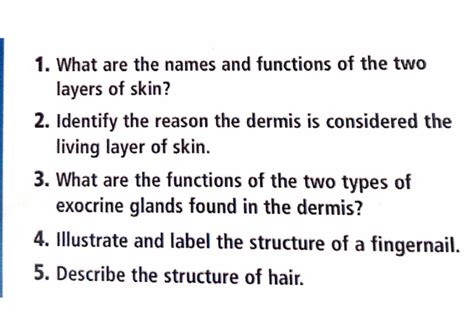 Integumentary System Sheet 1 Pdf